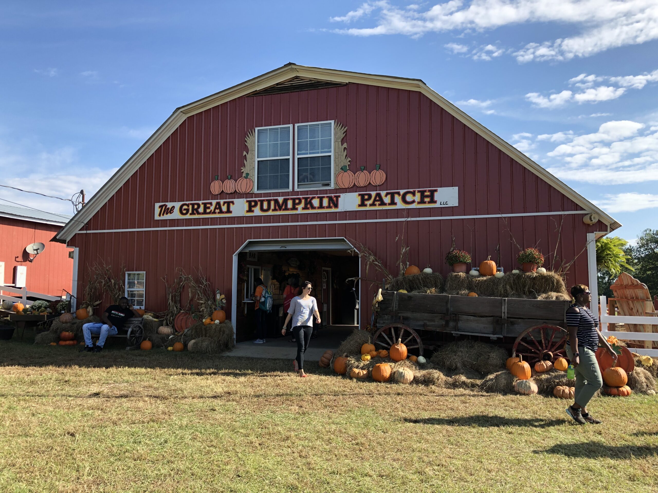 Activities - ORIGINAL - Great Pumpkin Patch - Hayden AL